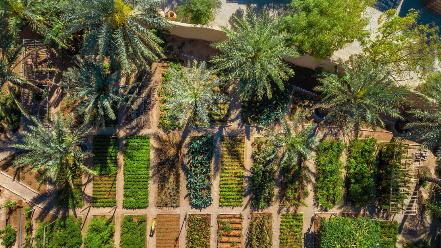 FairReisen und die Nachhaltigkeit im Tourismus