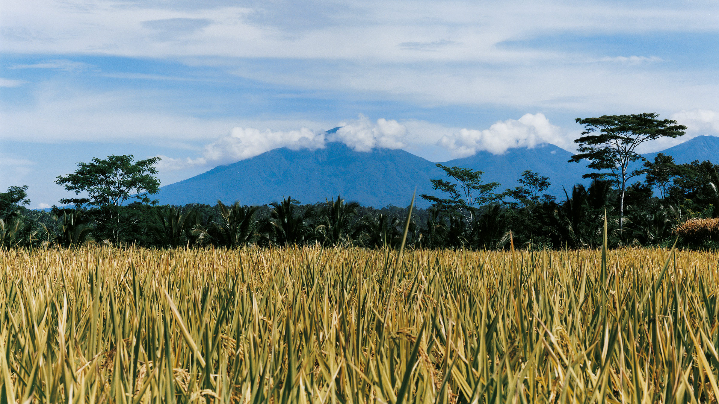 Kintamani & Vulkan Batur, Bali • DIE LUXUS REISEPROFIS