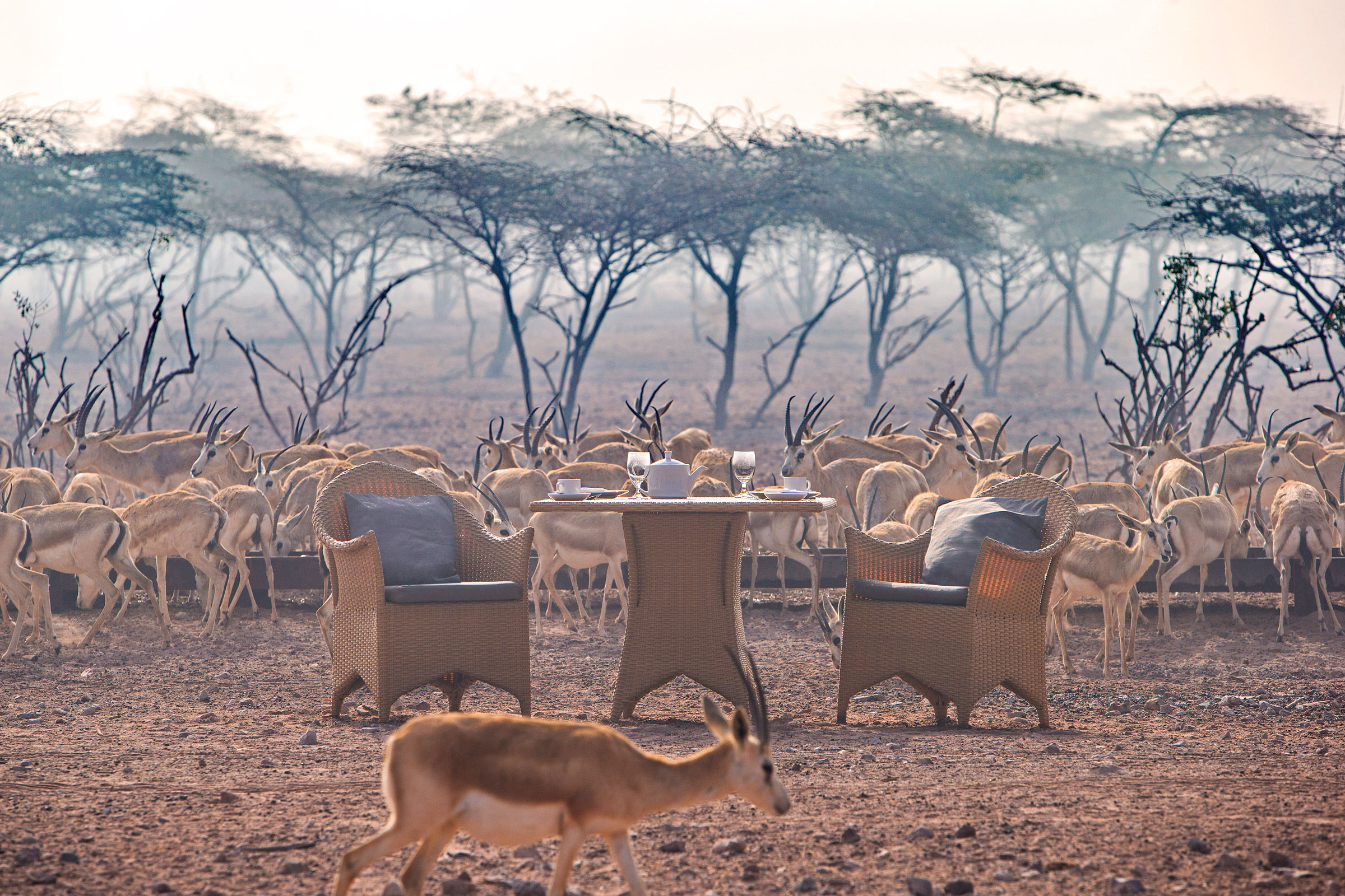 Destination Dining buchen • DIE LUXUS REISEPROFIS